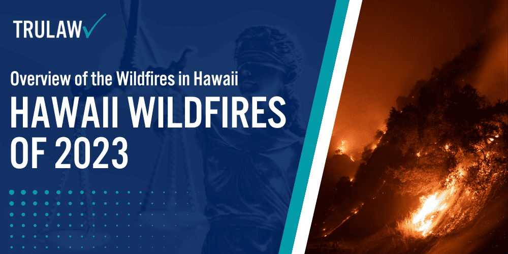 Hawaii Wildfires 2023 | Overview Of Wildfires In Hawaii