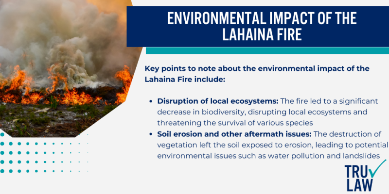 FAQ: How Much Of Lahaina Has Burned? [2025 Update]