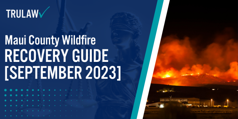 [2023 Update] Maui County Wildfire Recovery Guide
